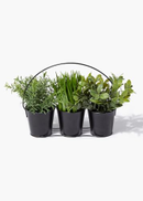مواصفات و سعر Matalan Plant Metal Pot 3-Piece Set, 20 cm x 6 cm x 23 cm ...