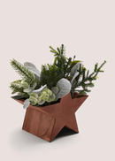 Matalan Wooden Star Plant, 26 cm x 18 cm x 24 cm Size price in Egypt ...